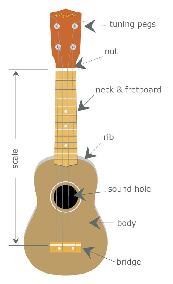 Ukulele Basics Parts