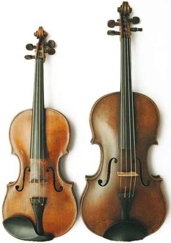 Thomann Online Guides History & Design Violas – Thomann Elláda